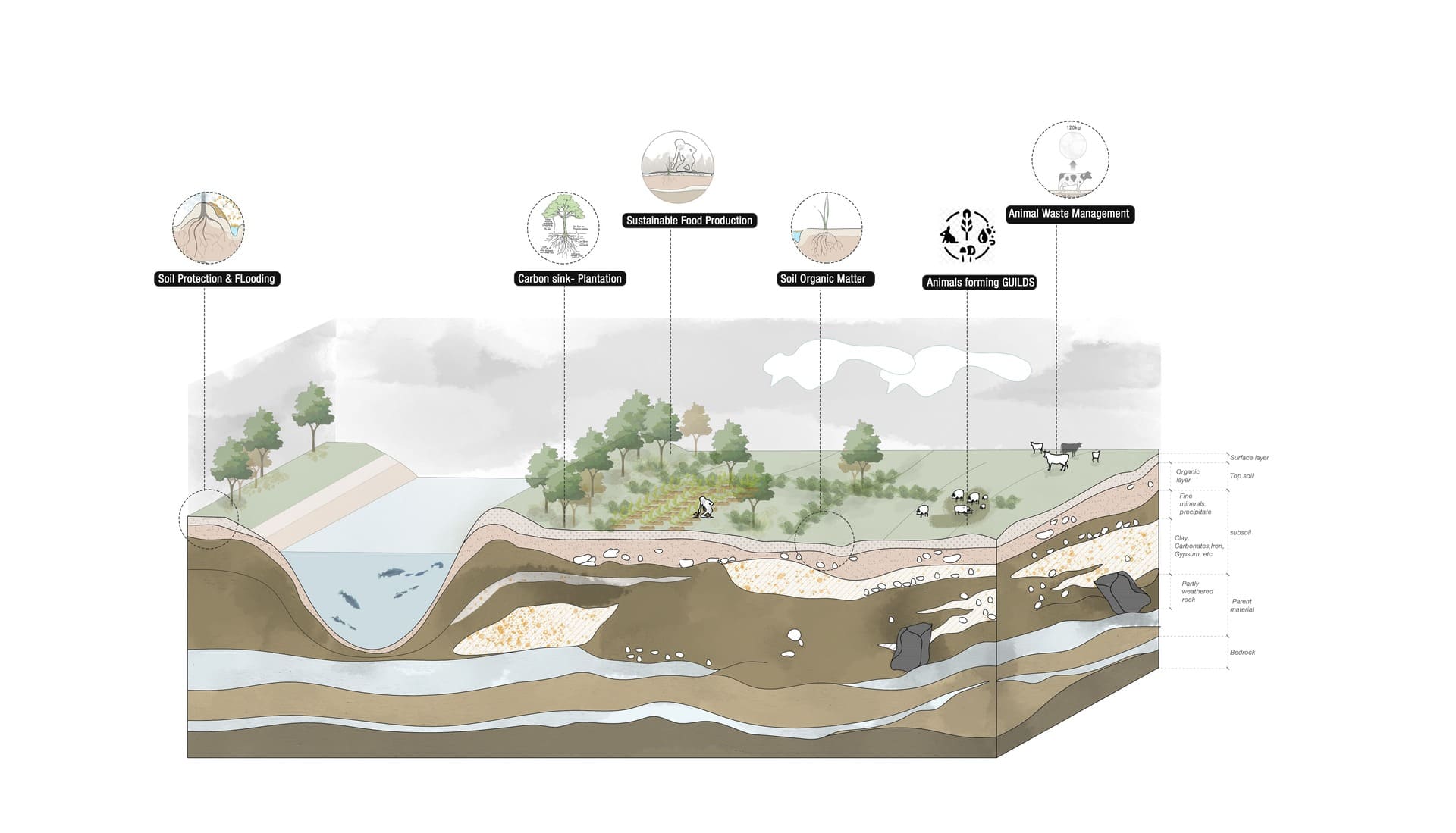 Low Carbon Agriculture